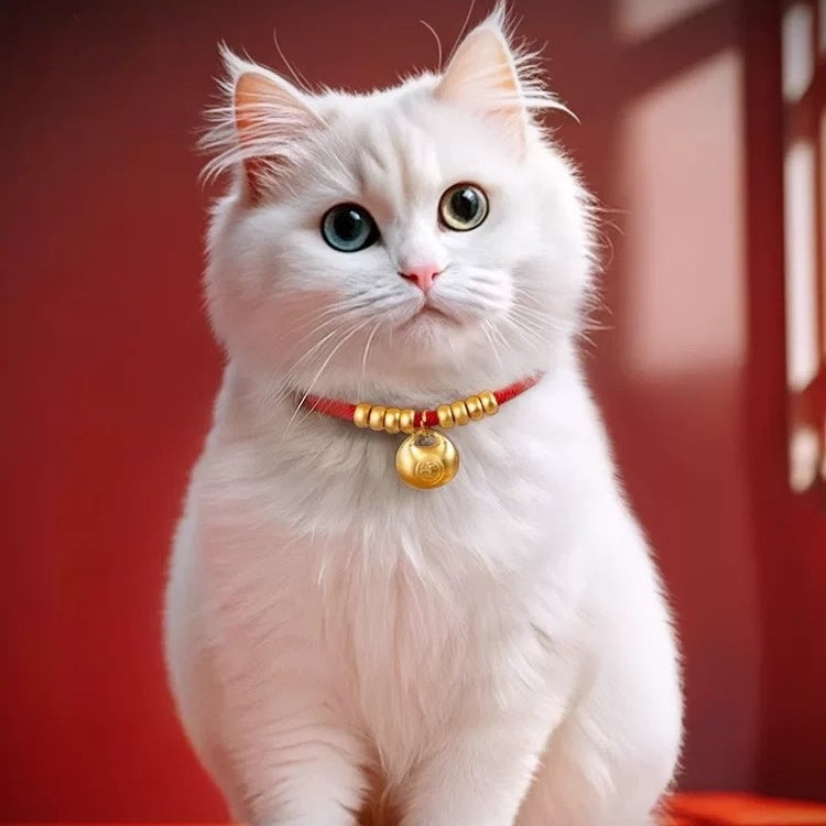 Lucky pet longevity Lock—Yunbao – Full Fu