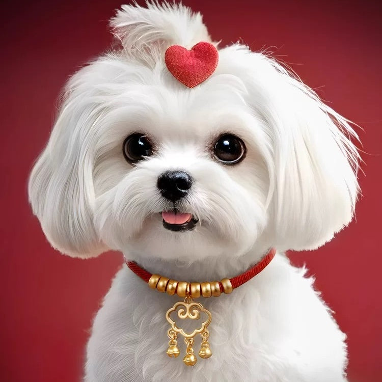 Lucky pet longevity Lock— Fortune Cloud – Full Fu